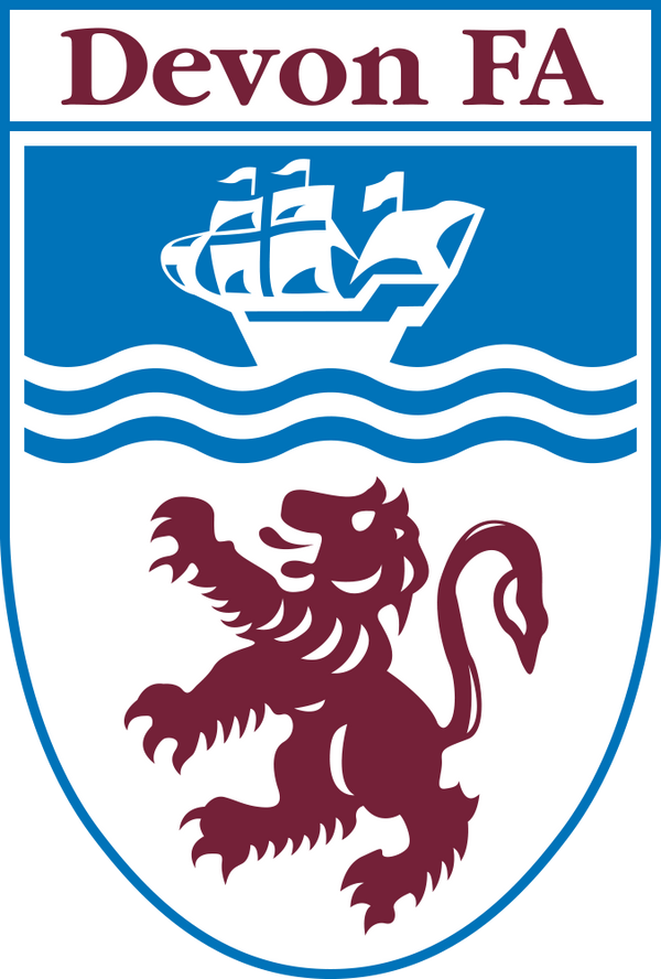 Devon FA Badge - Iron on Yourself